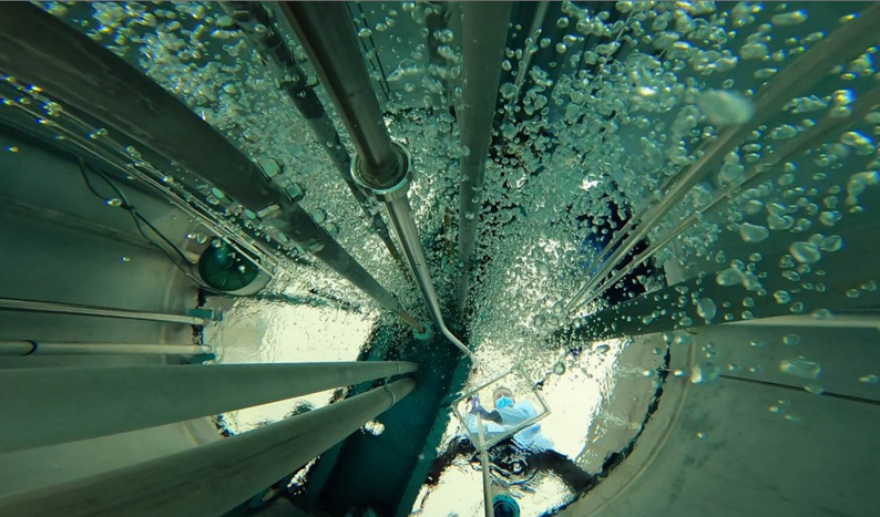 Void coefficient of reactivity — ENEEP