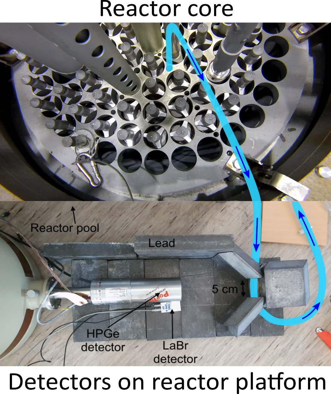 Primary water activation — ENEEP